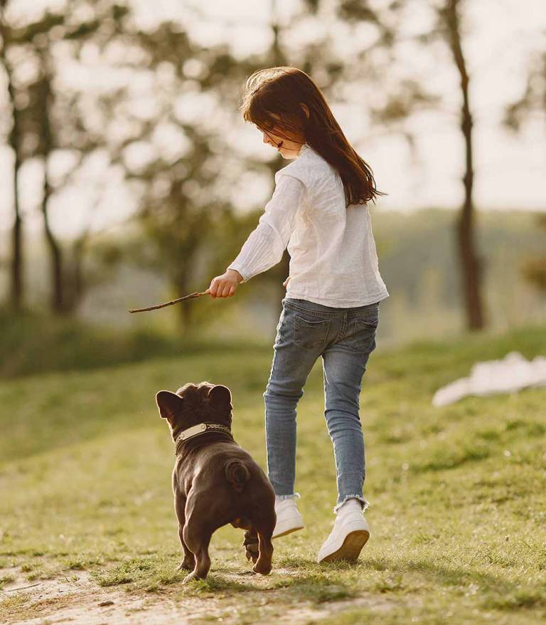 One Stop Destination for Pets | Pet Care in UAE – Pets Oasis