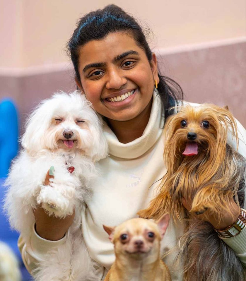 One Stop Destination for Pets | Pet Care in UAE – Pets Oasis